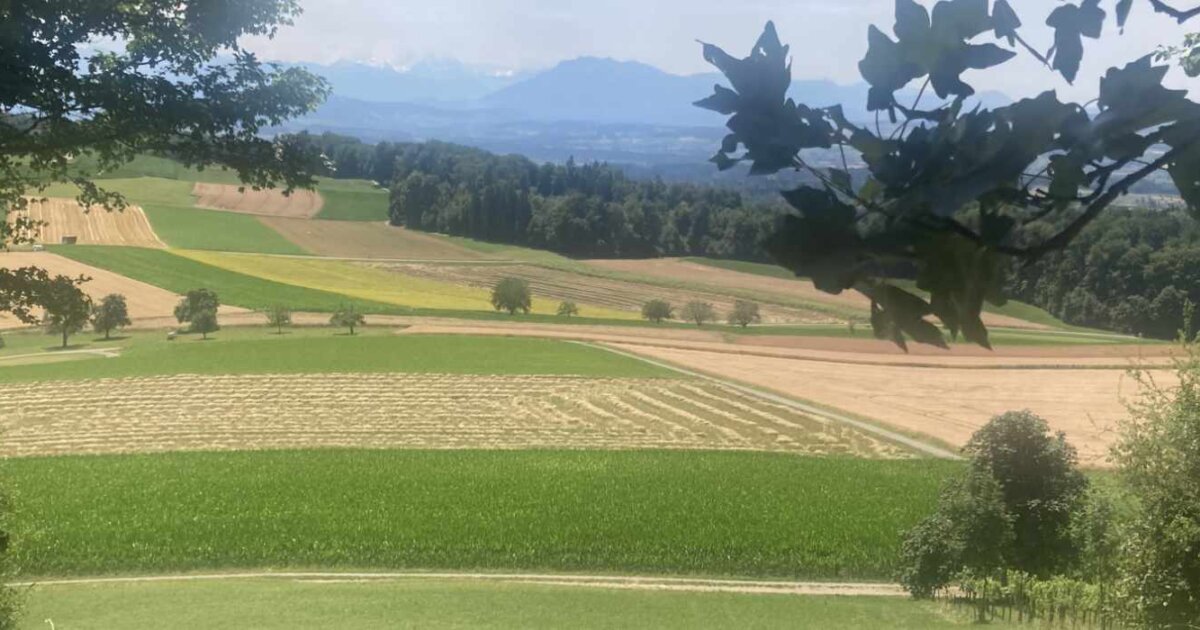Startseite - GRÜNE Bezirk Affoltern